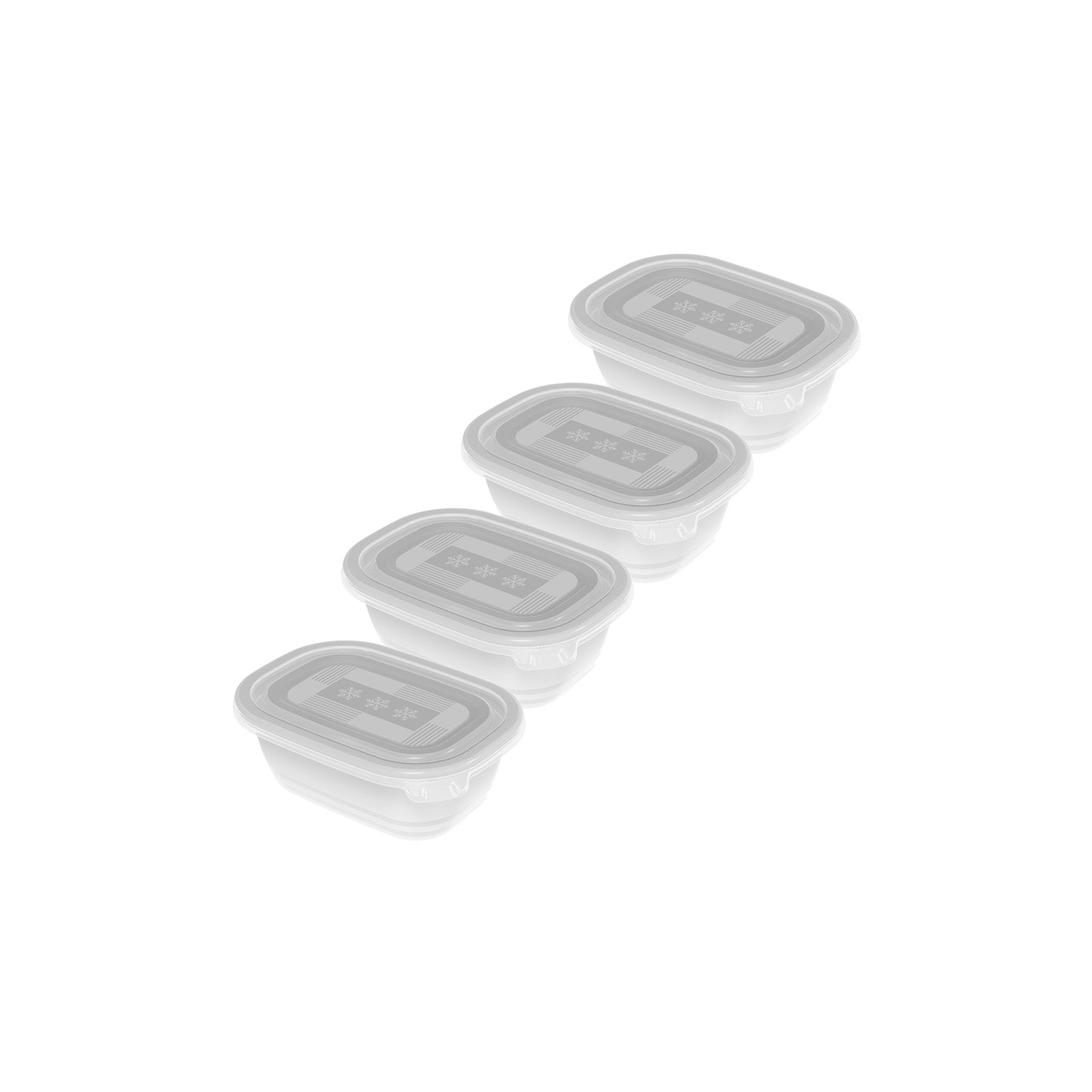 Set of freezer boxes 4 x 0.5 l FREEZE – Rotho